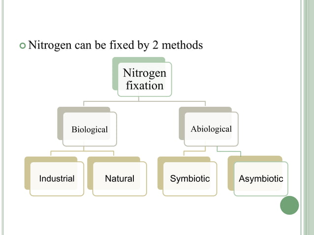 Biological nitrogen fixation | PPTX