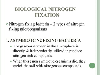 Biological nitrogen fixation | PPTX