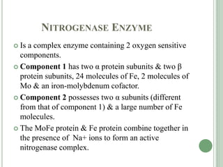 Biological nitrogen fixation | PPTX