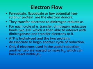 Biological nitrogen fixation | PDF