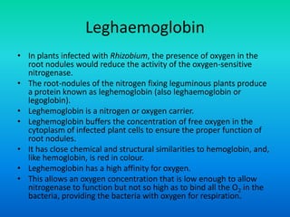 Biological nitrogen fixation | PDF