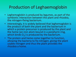 Biological nitrogen fixation | PDF