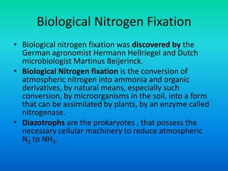 Biological nitrogen fixation | PDF