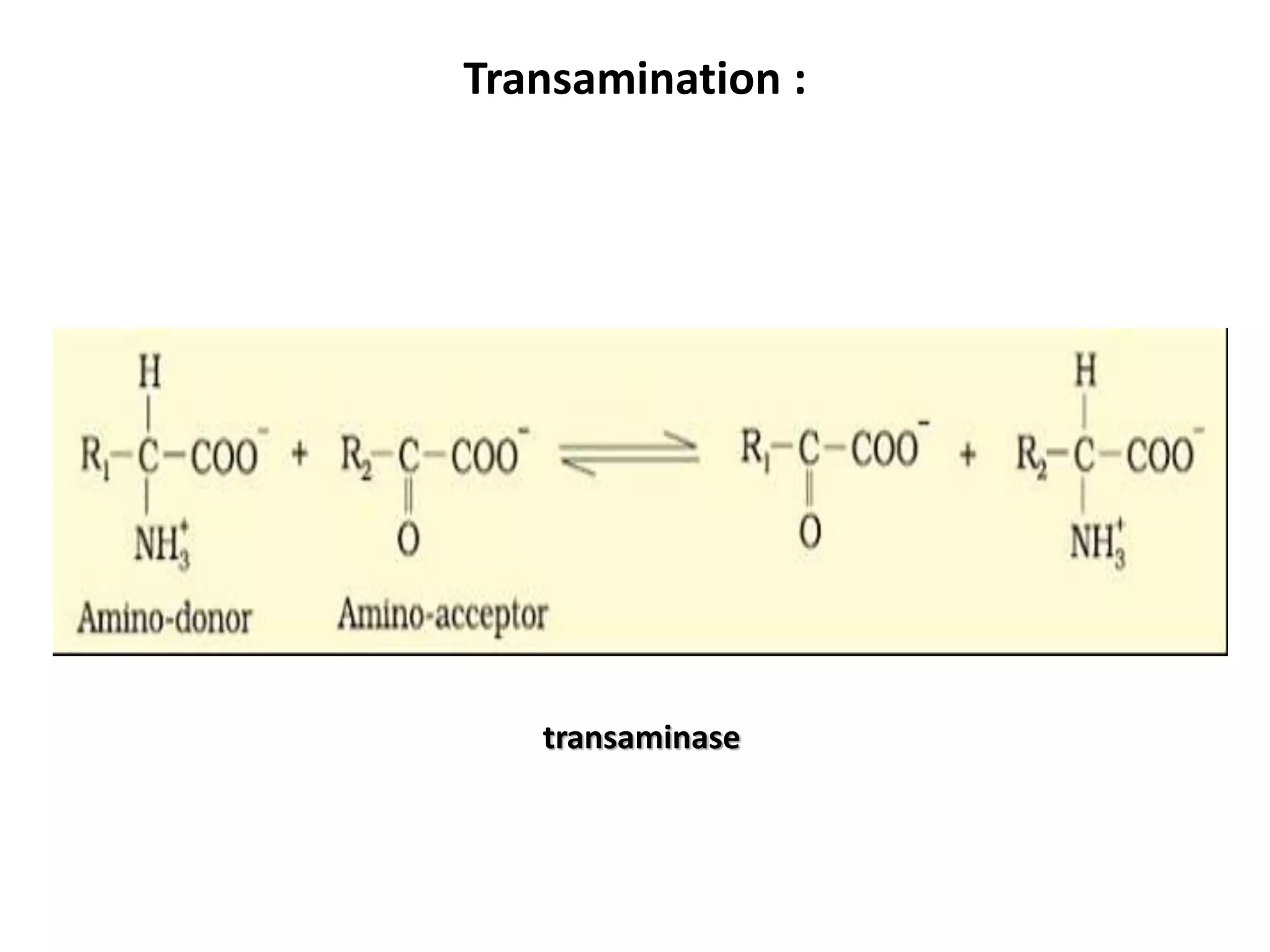 Biological nitrogen fixation, Nitrification Ammonification ...