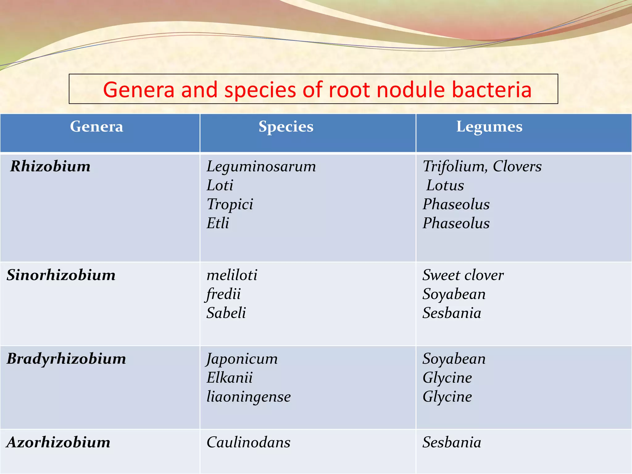 Biological nitrogen fixation.pptx