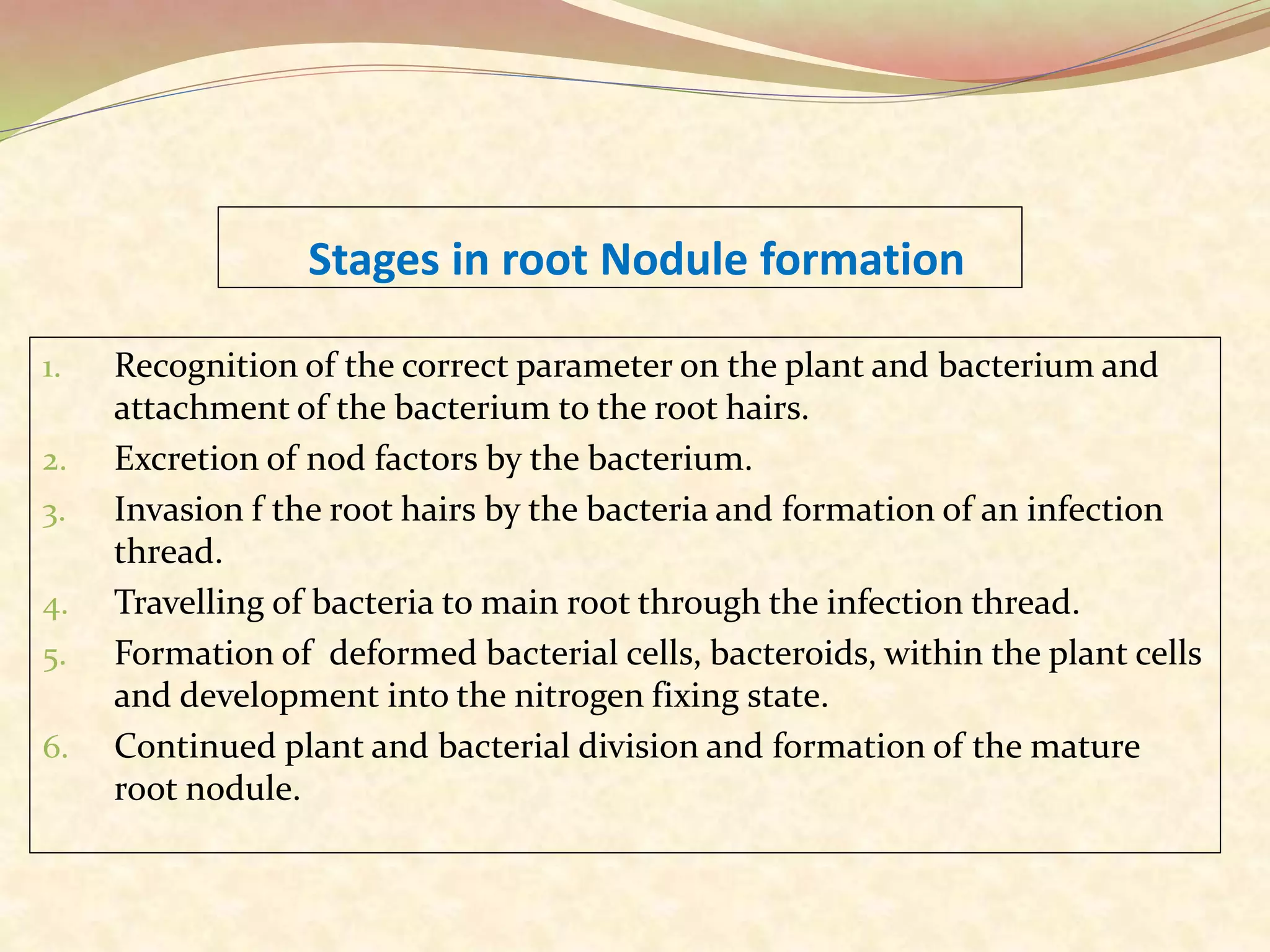 Biological nitrogen fixation.pptx