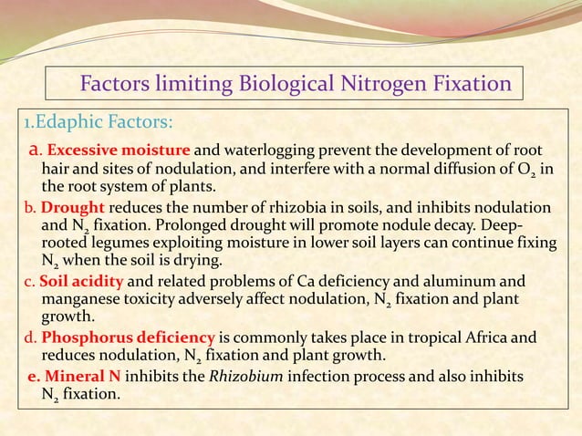 Biological nitrogen fixation.pptx | Gardening | Home & Garden