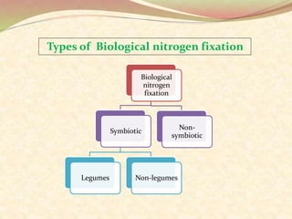 Biological nitrogen fixation.pptx
