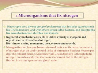 Biological nitrogen fixation.pptx