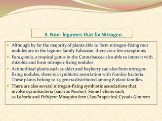 Biological nitrogen fixation.pptx