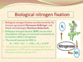Biological nitrogen fixation.pptx