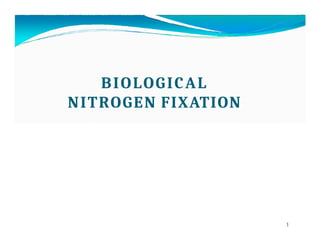 biological_nitrogen_fixation.Genetic Mechanismpptx | PPT