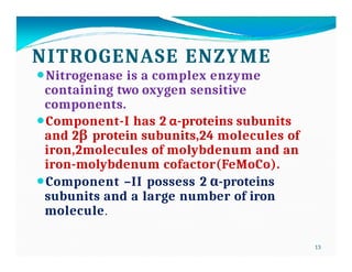 biological_nitrogen_fixation.Genetic Mechanismpptx | PPT