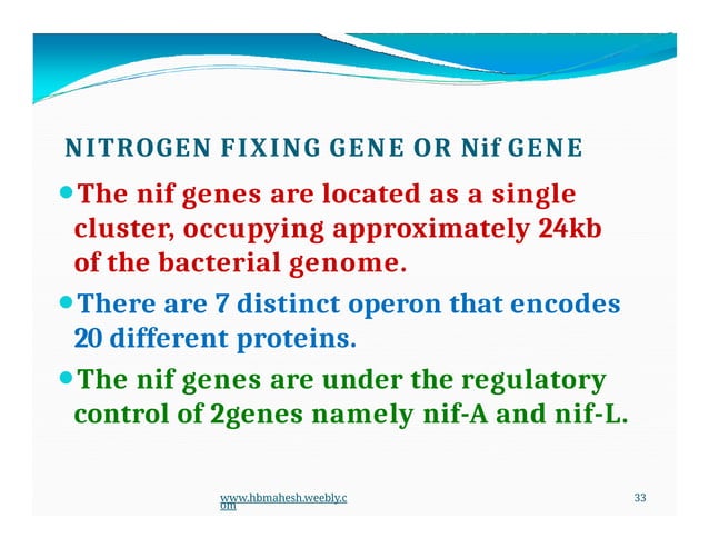 biological_nitrogen_fixation.Genetic Mechanismpptx | PPTX