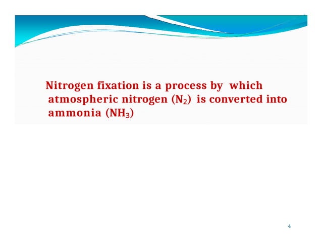 biological_nitrogen_fixation.Genetic Mechanismpptx | PPTX