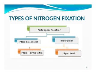 biological_nitrogen_fixation.Genetic Mechanismpptx | PPT