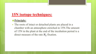 Biological Nitrogen Fixation | PPTX