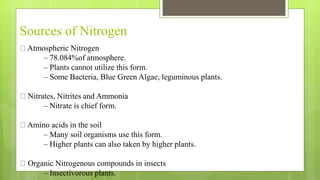 Biological Nitrogen Fixation | PPTX