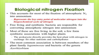 Biological Nitrogen Fixation | PPTX