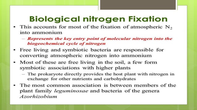 Biological Nitrogen Fixation | PPTX | Agriculture | Industries