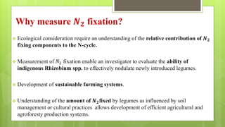Biological Nitrogen Fixation | PPTX