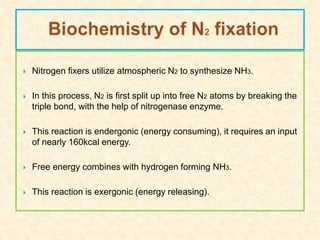 Biological nitrogen fixation by kader mullah | PPTX | Gardening | Home ...