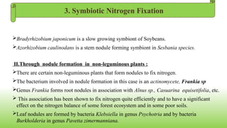 Biological nitrogen fixation in plants.pptx