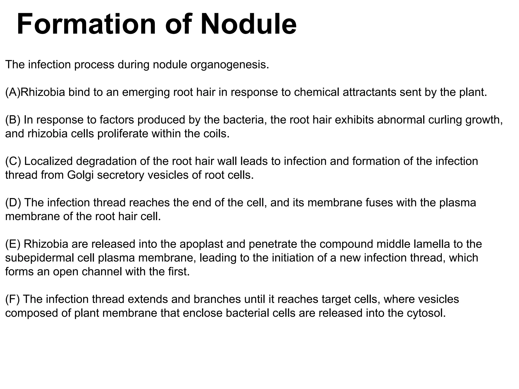 Biological Nitrogen Fixation, NODULE FORMATION, NITROGENASE.ppt