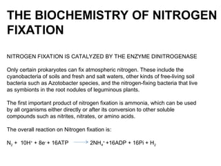 Biological Nitrogen Fixation, NODULE FORMATION, NITROGENASE.ppt