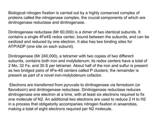 Biological Nitrogen Fixation, NODULE FORMATION, NITROGENASE.ppt
