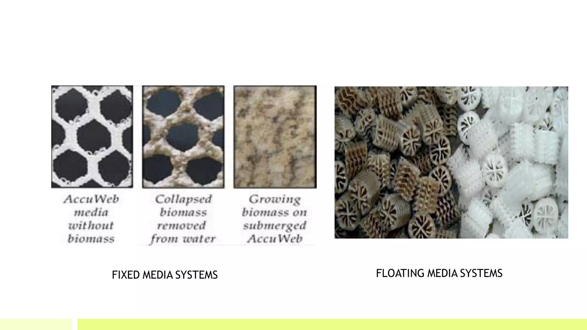 Biological Nutrient Removal (BNR) | PDF