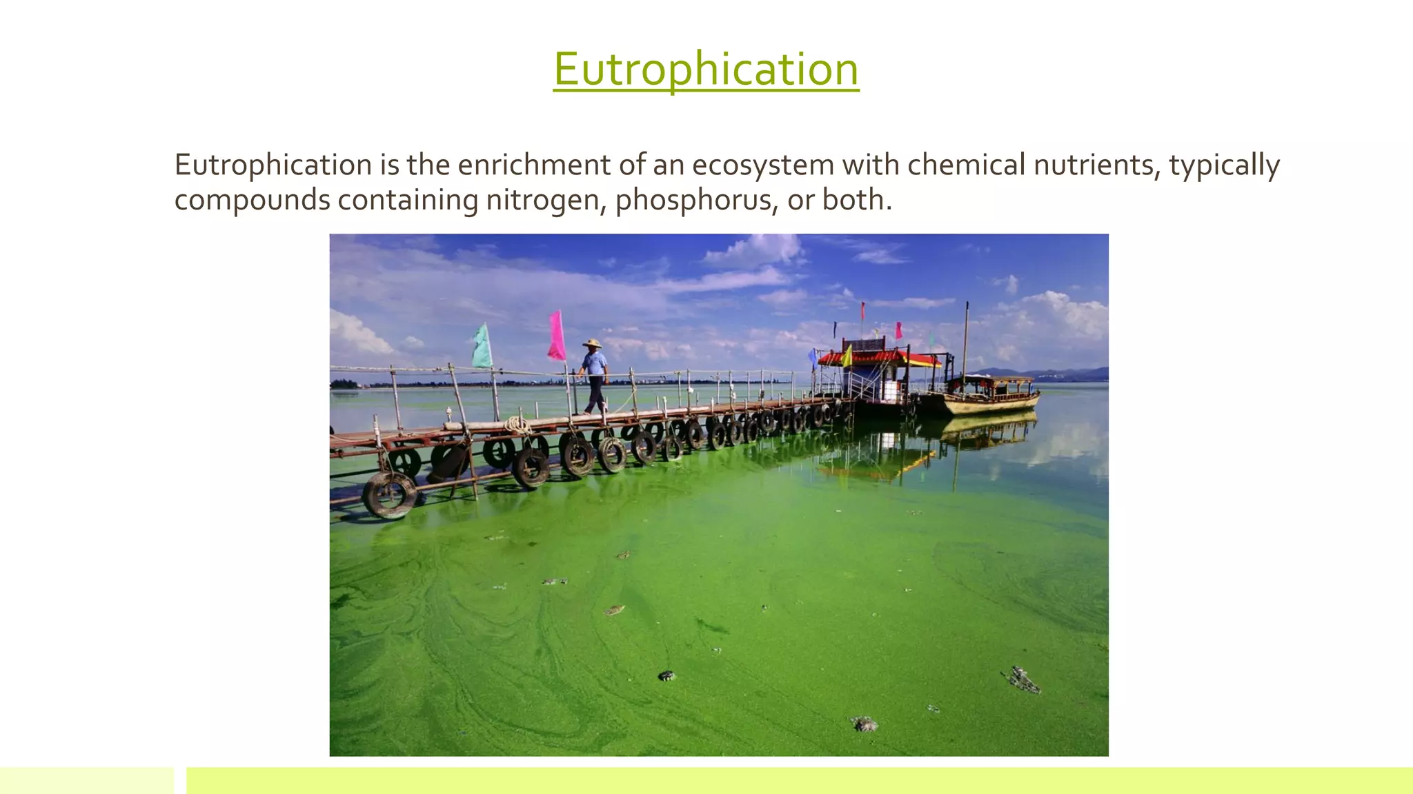 Biological Nutrient Removal (BNR) | PDF