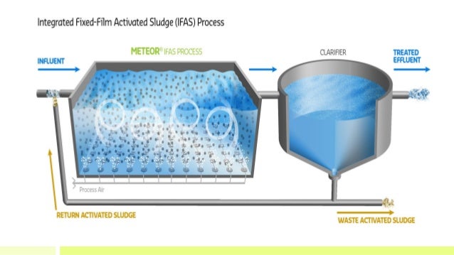 Nutrient Removal Process
