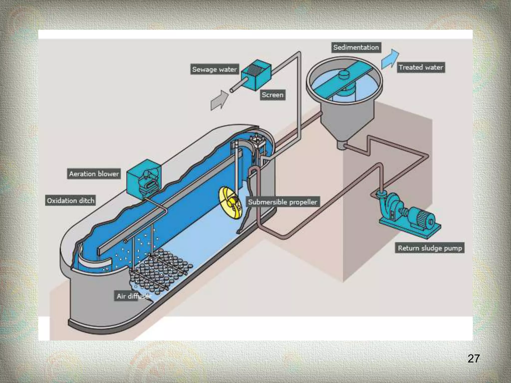 Biological Nutrient Removal | PPTX