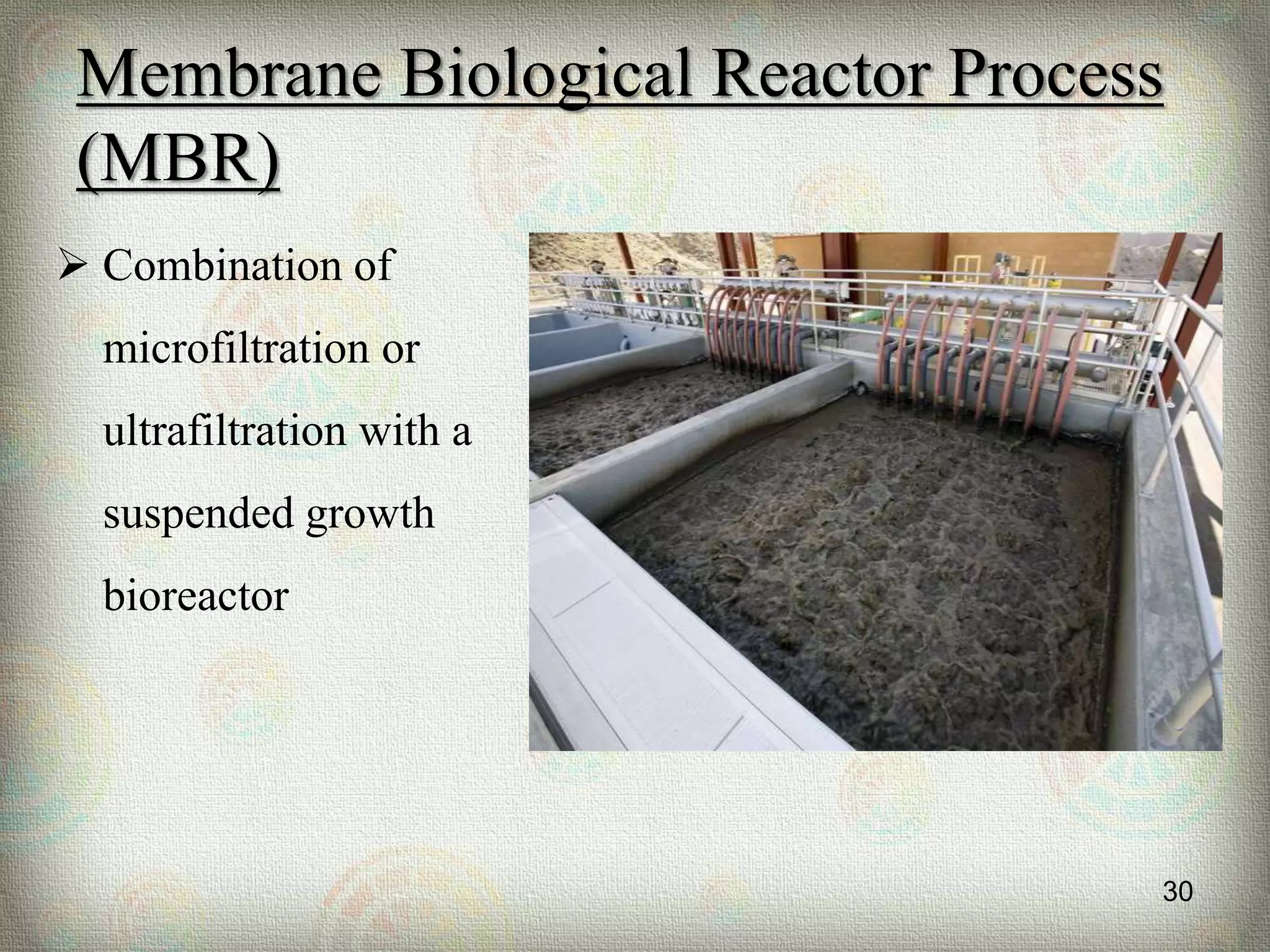 Biological Nutrient Removal | PPTX