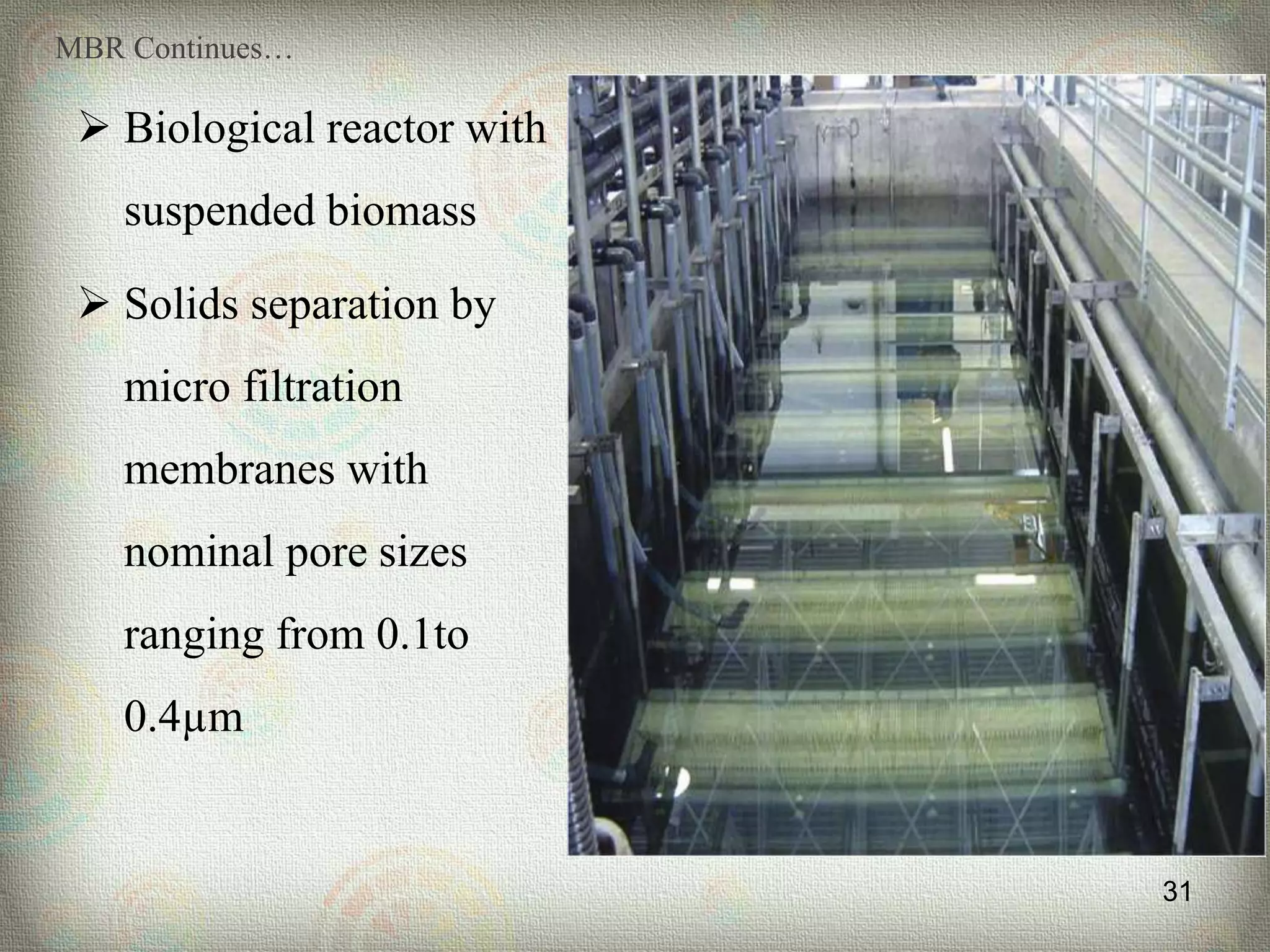 Biological Nutrient Removal | PPTX