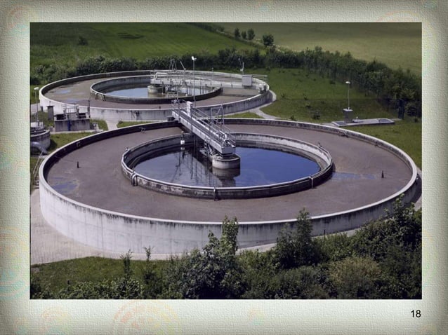 Biological Nutrient Removal | PPTX