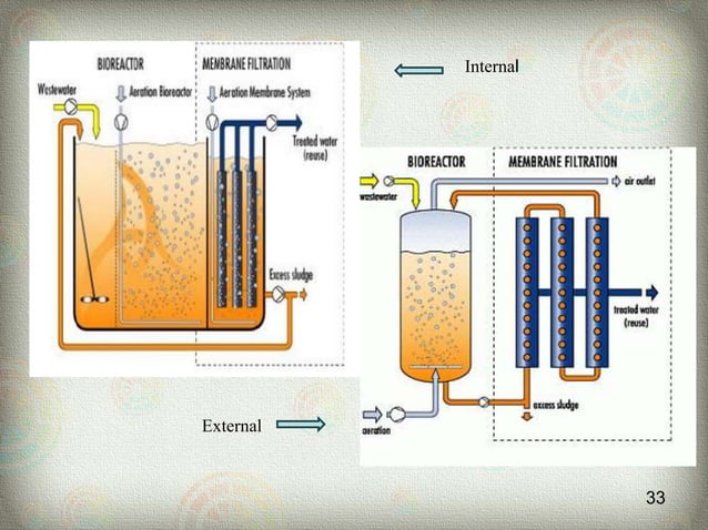 Biological Nutrient Removal | PPTX