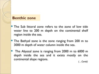 Biological Oceanography | PPT
