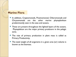 Biological Oceanography | PPT