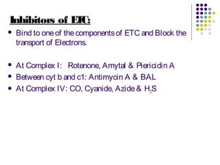 Biological oxidation ppt | PPT