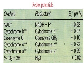 Biological oxidation ppt | PPT
