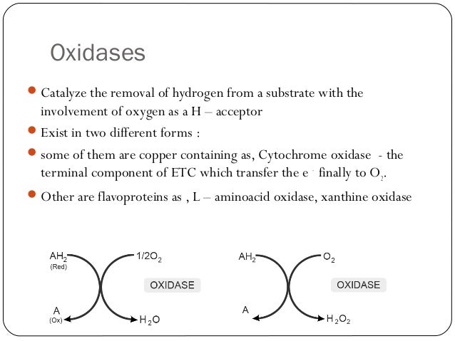 Biological oxidation -1