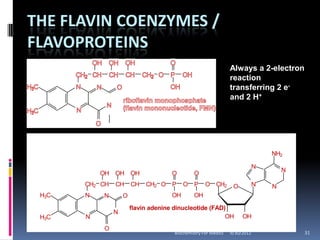 Biological oxidation and oxidative phosphorylation | PPTX