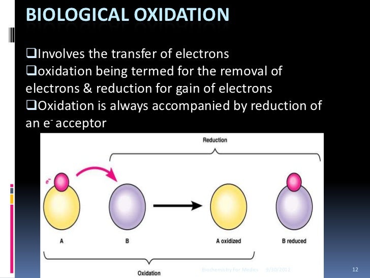 Biological oxidation and oxidative phosphorylation