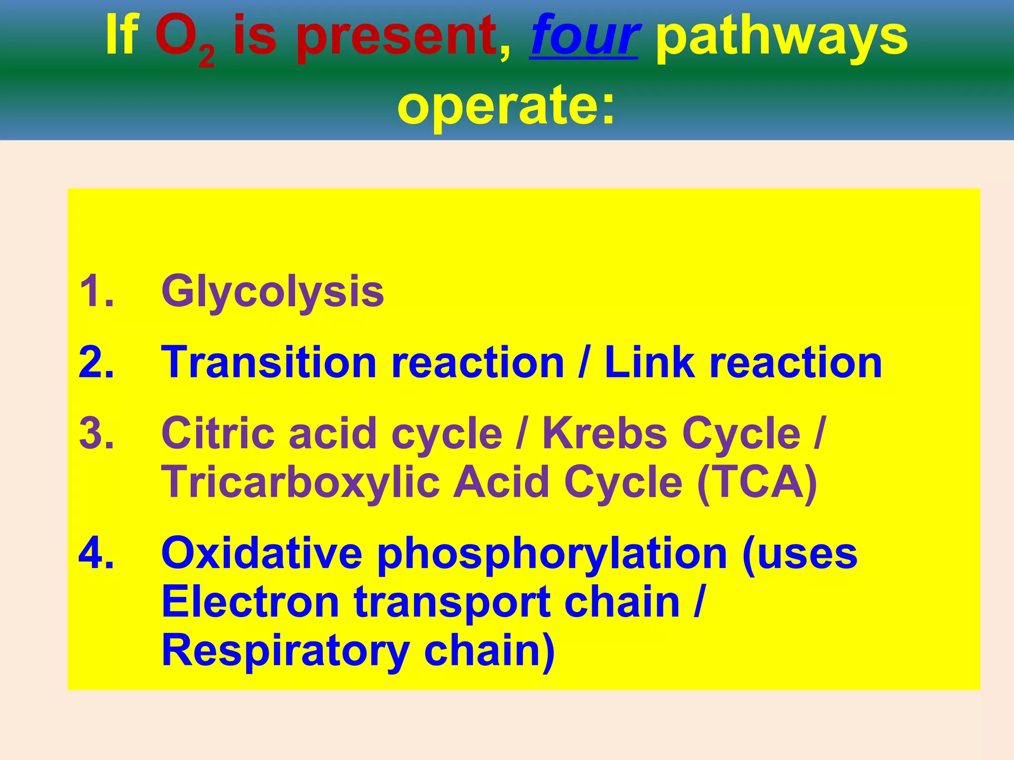 Biological oxidation | PPT