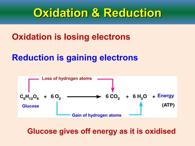 Biological oxidation | PPT