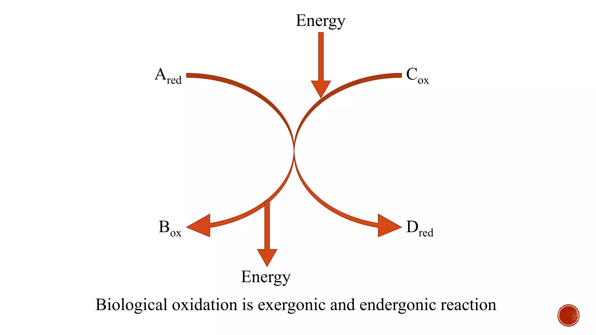 Biological oxidation | PPTX
