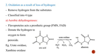 Biological oxidation | PPTX