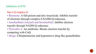 Biological oxidation | PPTX